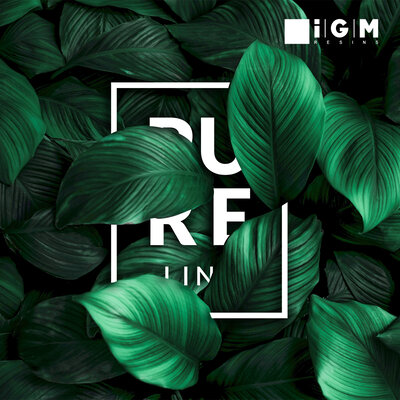 IGM RESINS : A close look at ...